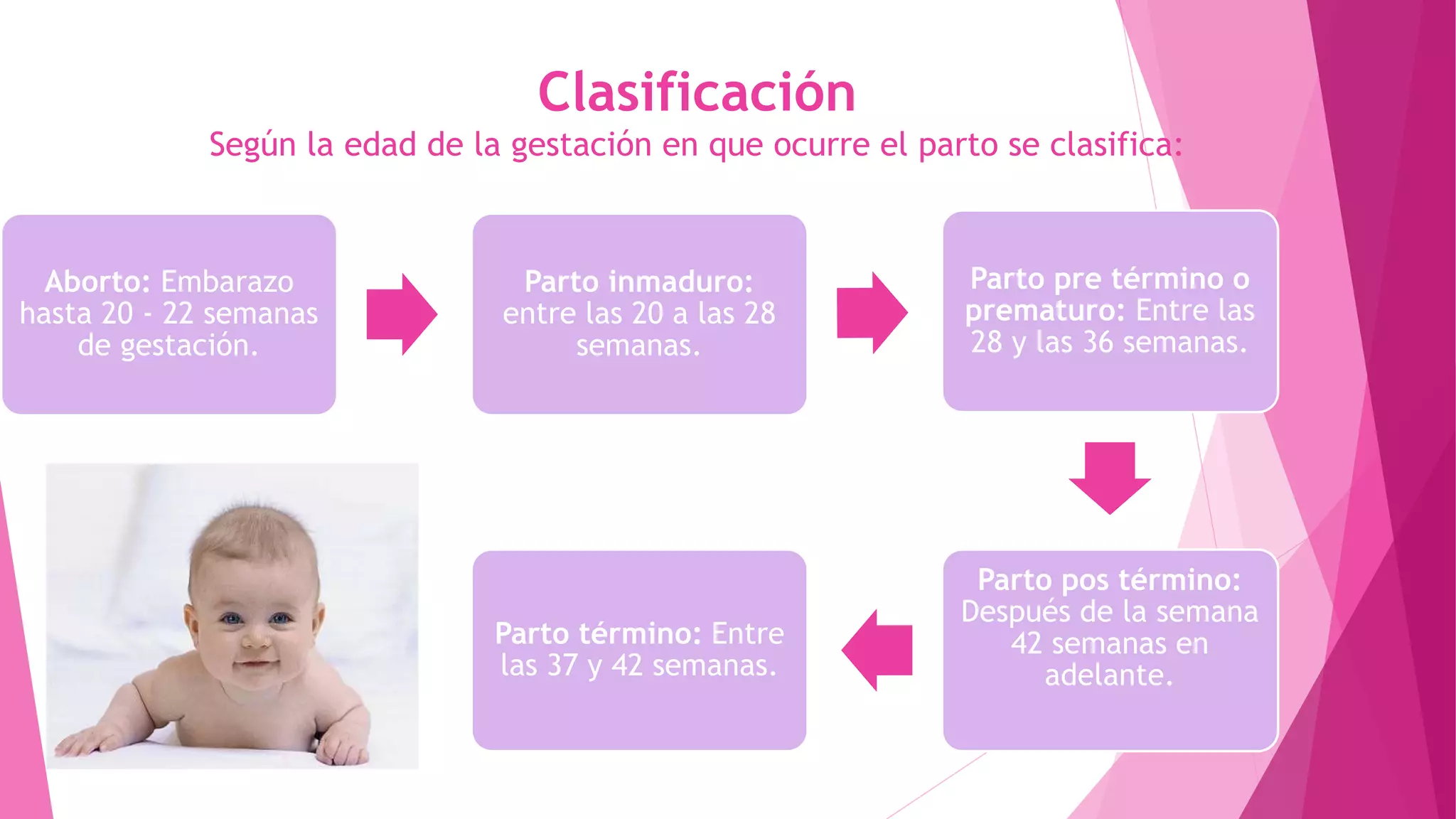 Periodos del parto | PPTX