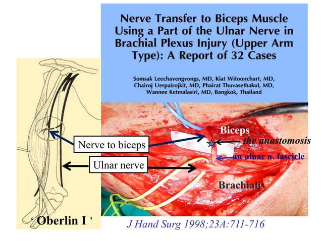 Oberlin Transfer | PPTX