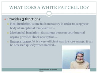 Obesity | PPTX