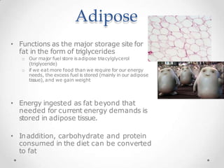 obesity-130810065329-phpapp02.pptx