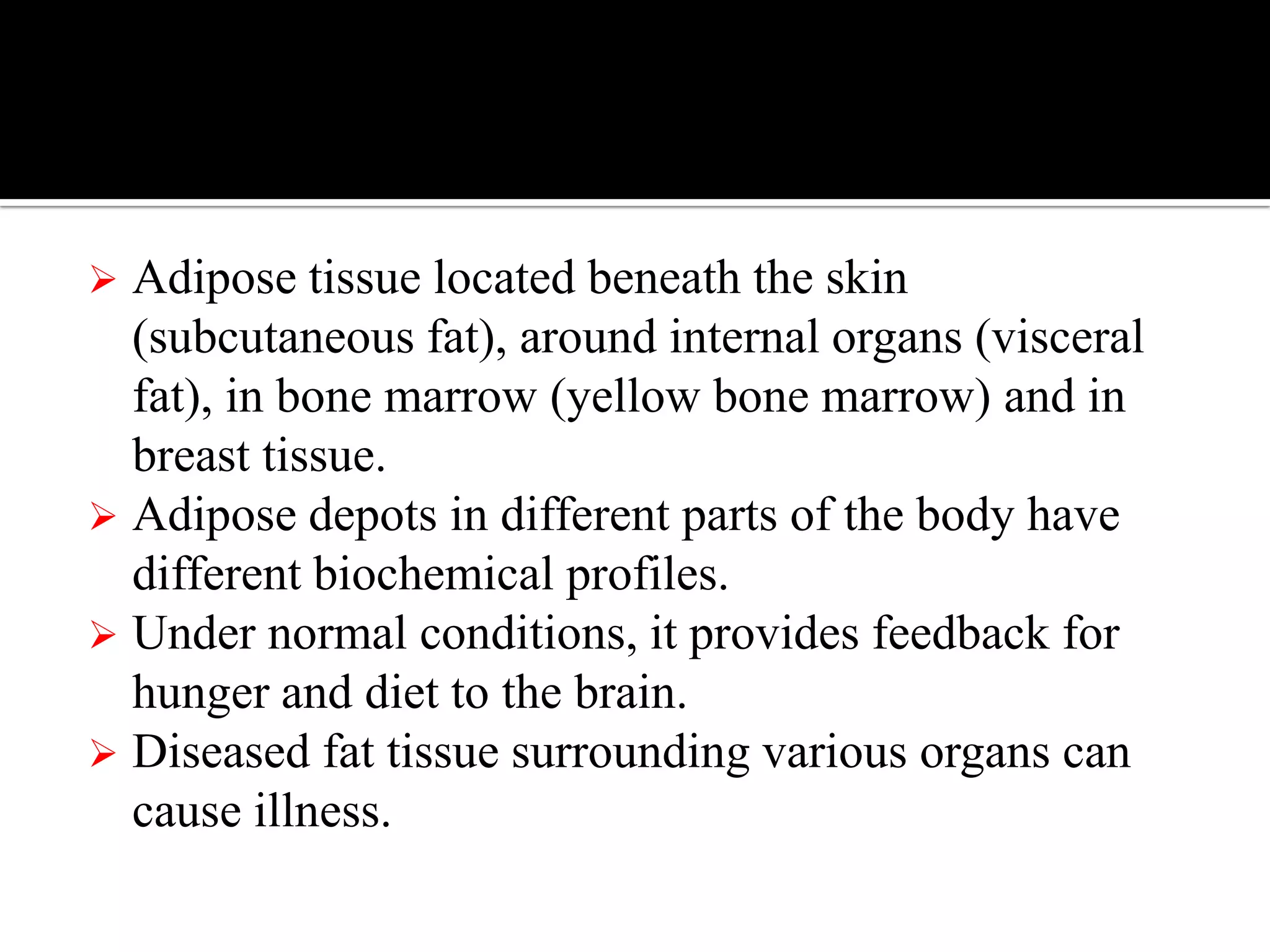 Obesity | PPTX | Endocrine and Metabolic Diseases | Diseases and Conditions