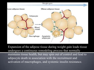 Obesity | PPTX