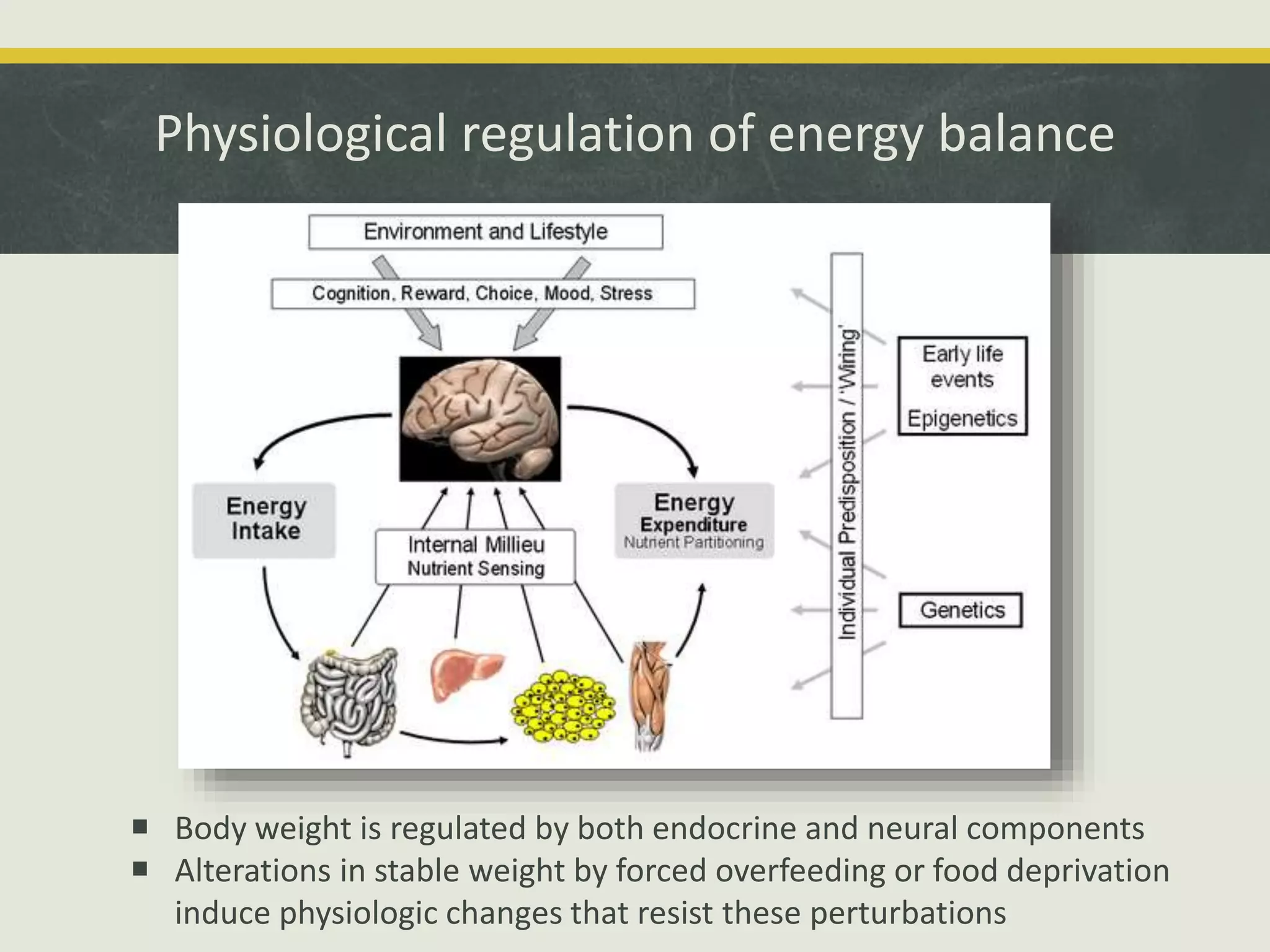 Obesity - Pathophysiology, Etiology and management | PPTX