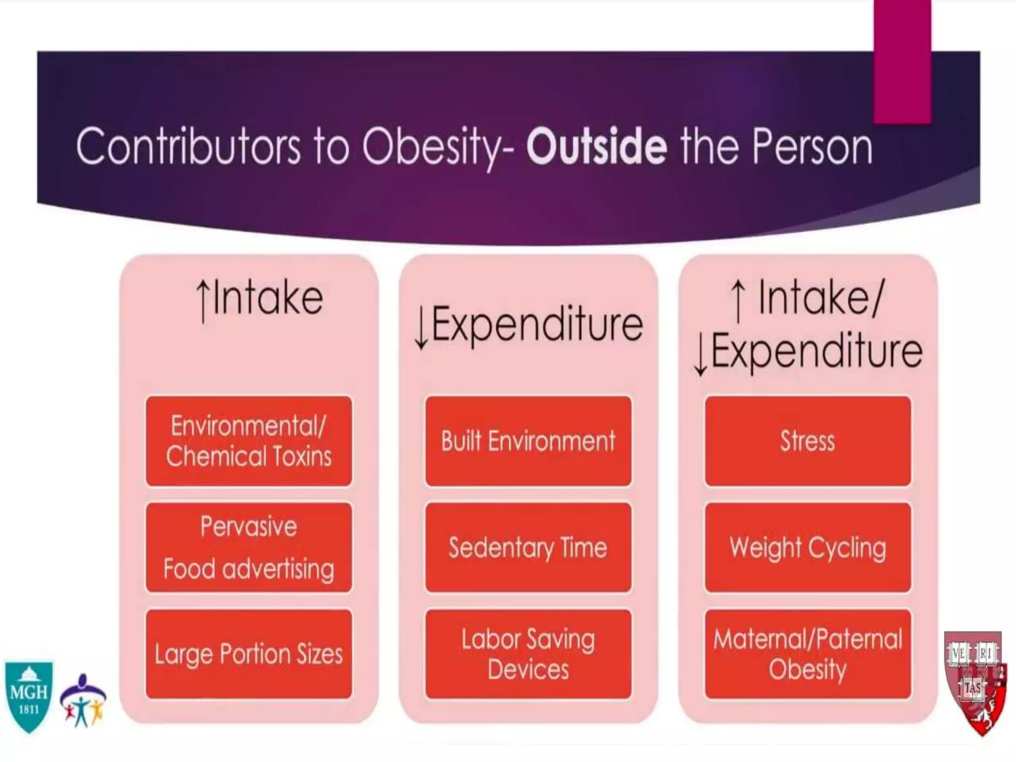 obesity .ppt