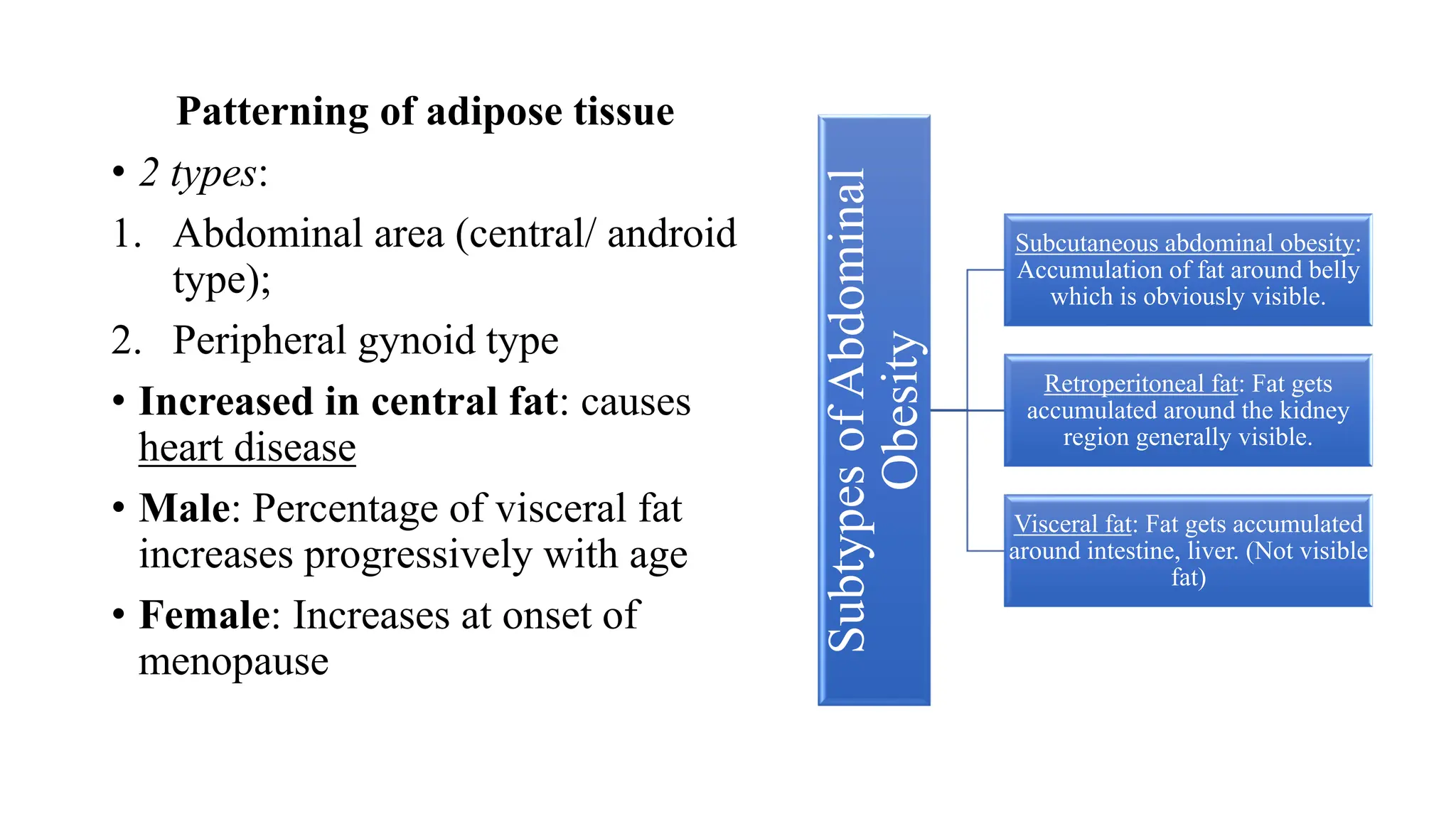 Obesity.pdf