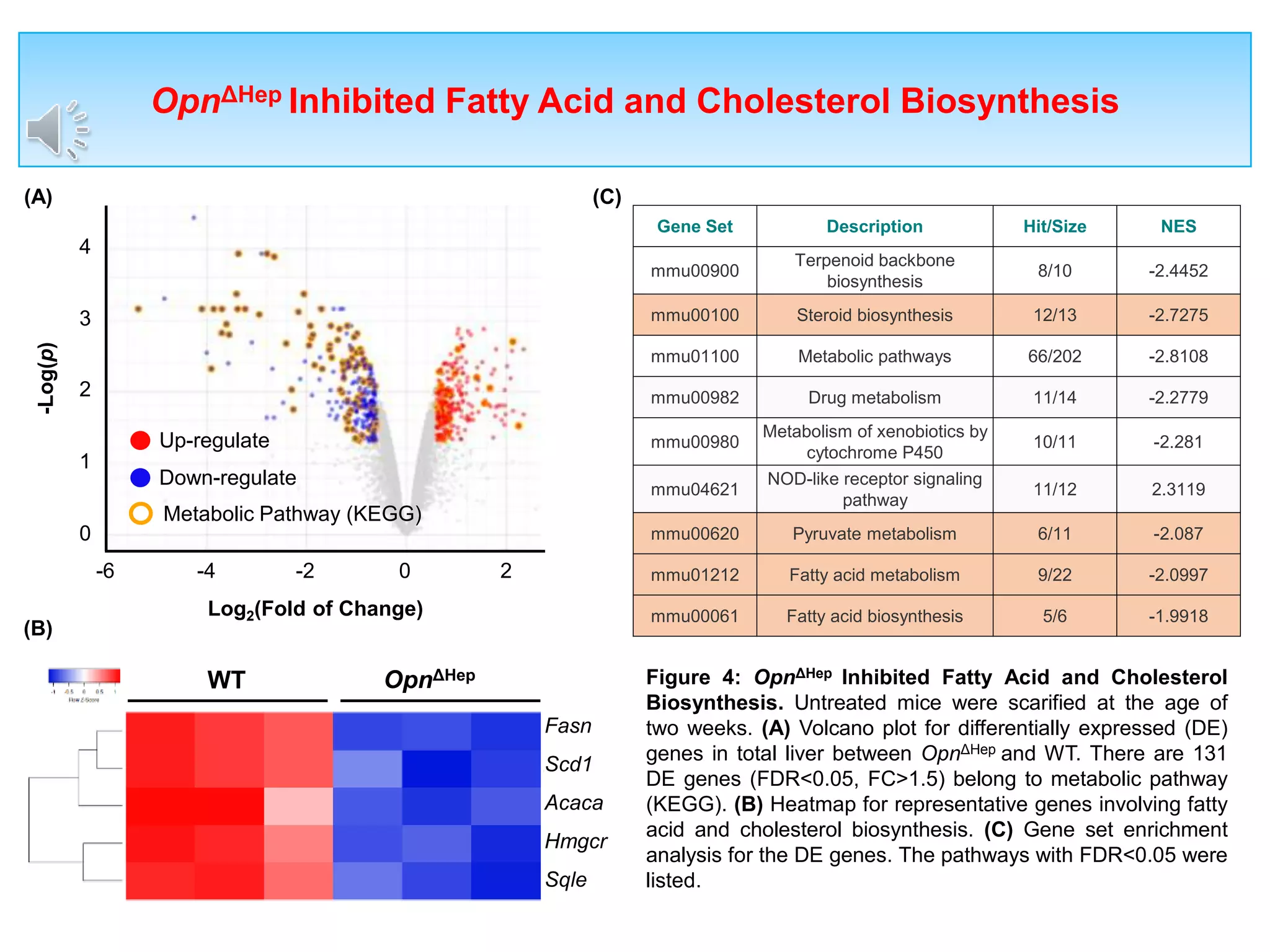 Obesity-and-Diabetes-Day-Presentation.pptx