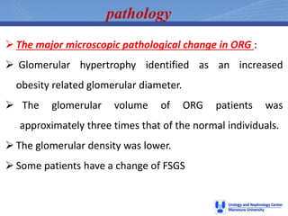 Obesity related-glomeropathy | PPTX