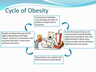 Obesity time frame and extent | PPT