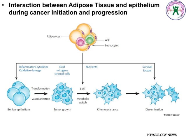 Obesity and cancer- an Uncanny Ally. | PPTX | Cancer | Diseases and ...