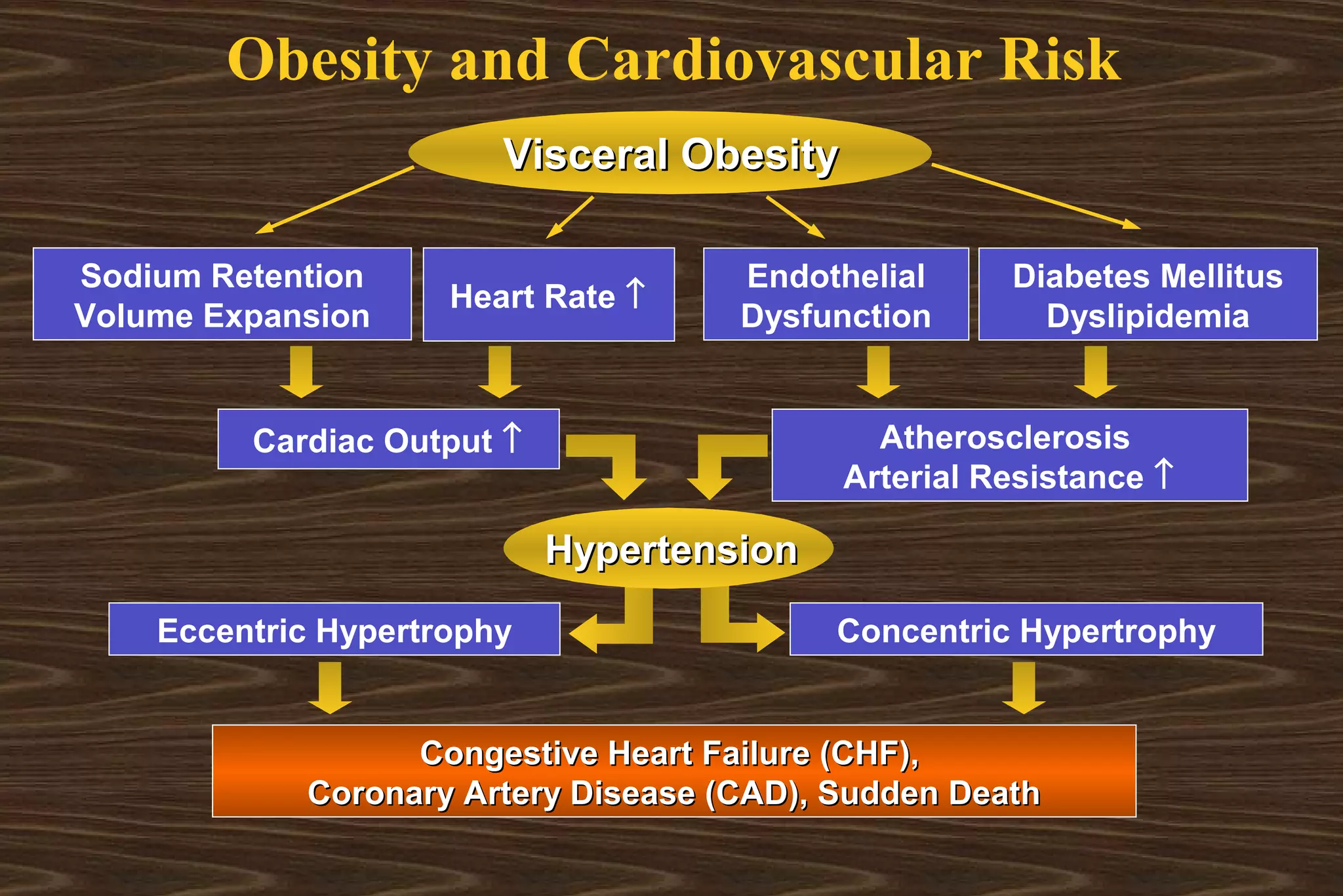 Obesity and Cardiovascular Diseases | PPT