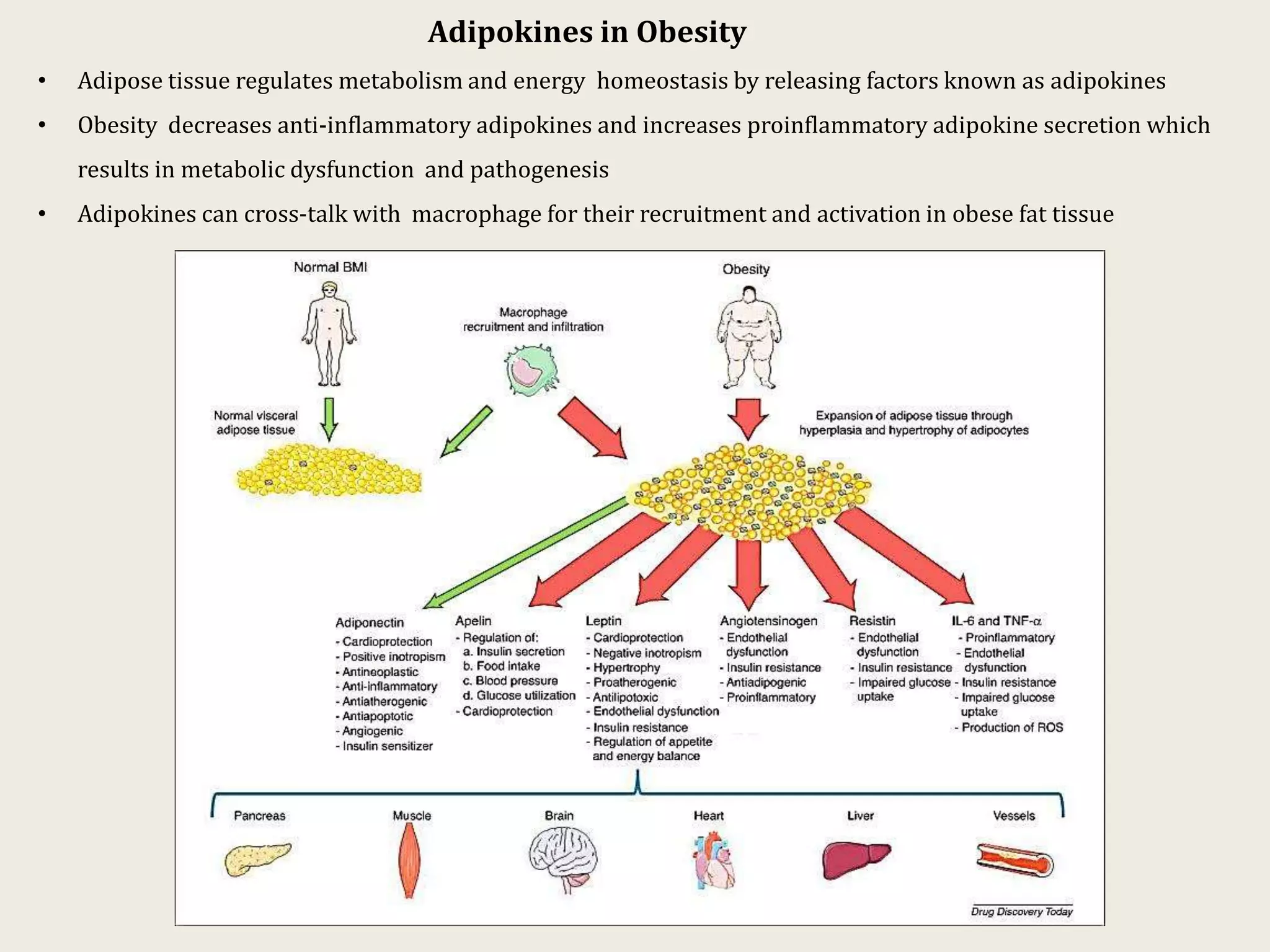 Obesity and inflammation | PPTX