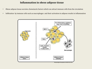Obesity and inflammation | PPTX