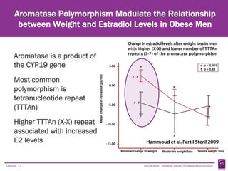 Obesity and Male Infertility | PDF