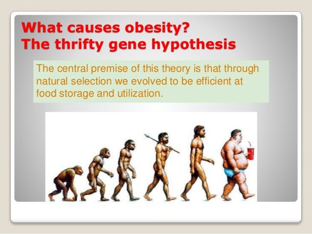 Obesity and metabolic syndrome 2