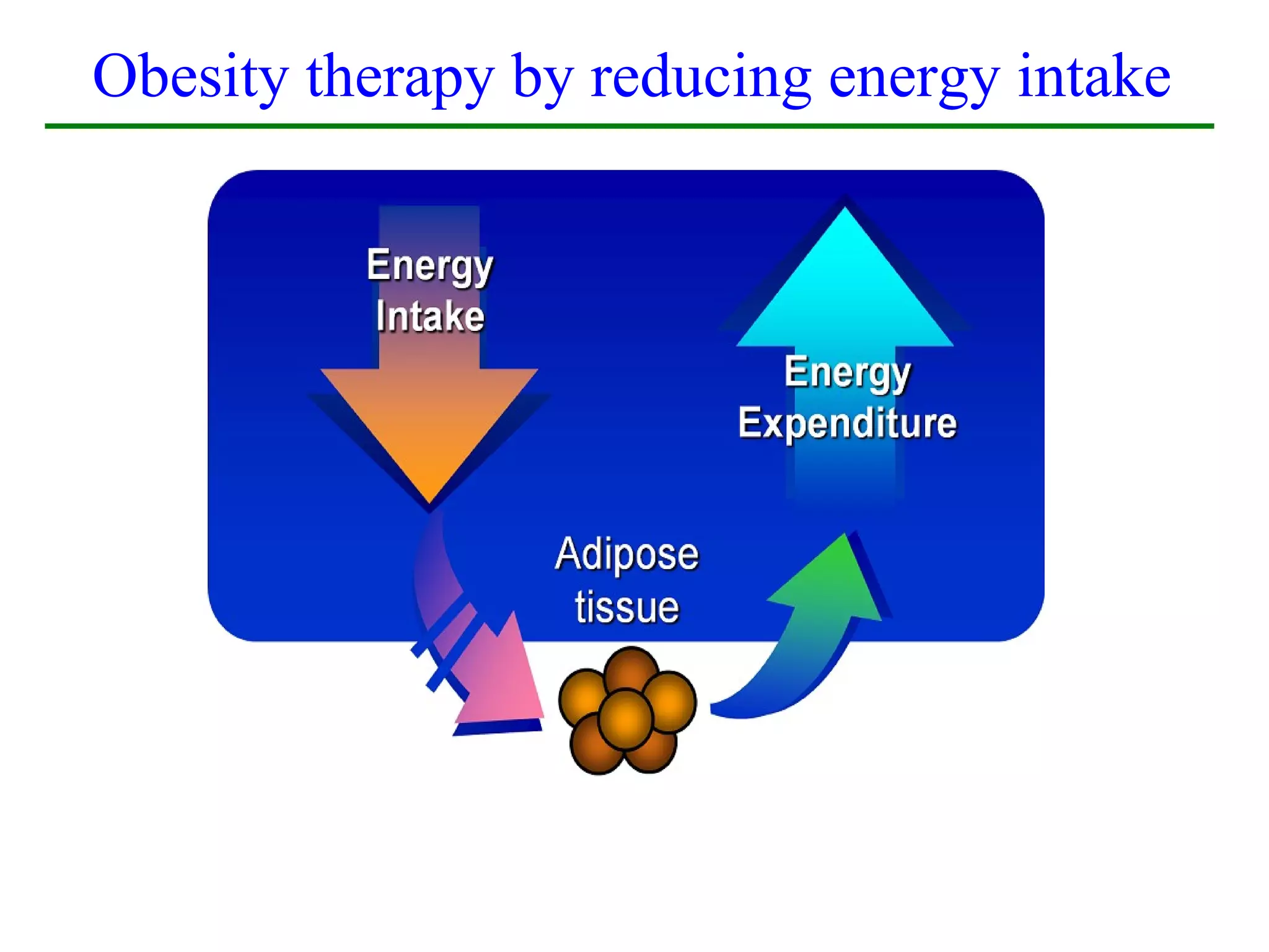 Obesity and nutrition | PPT