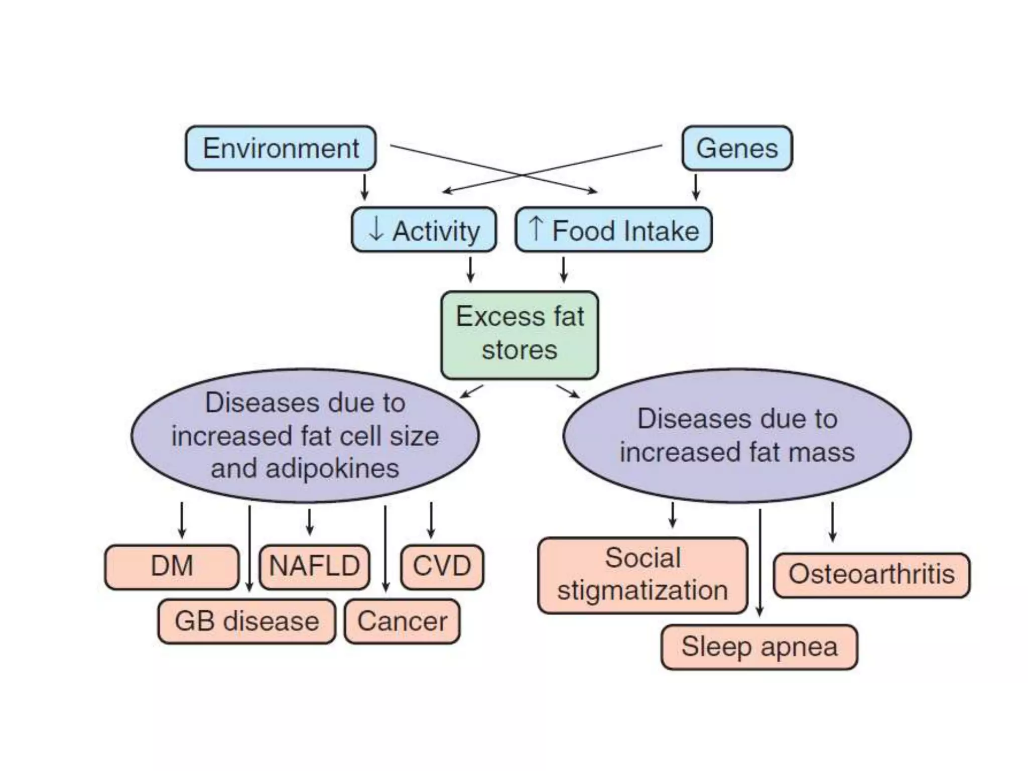 Obesity -pathophysiology,Evaluation & pharmacotherapy | PPTX