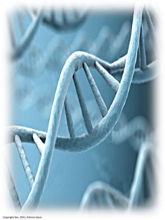 Obesity Psa Slide Show Copy | PPTX