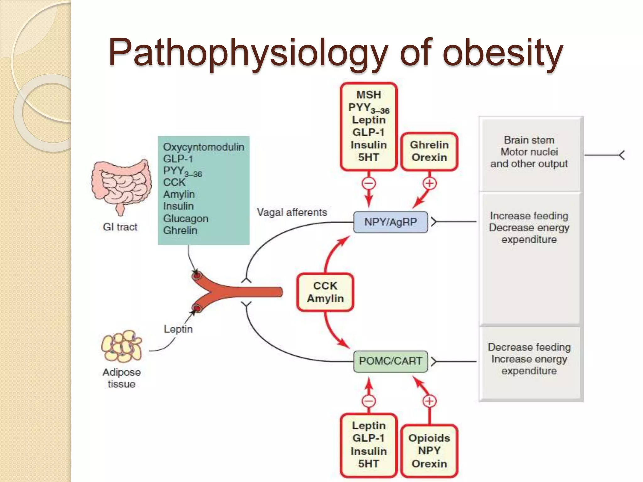 Obesity recent advances | PPTX