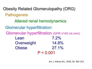 Obesity Related Glomerulopathy (ORG) - prof. Salem Eldeeb | PPTX