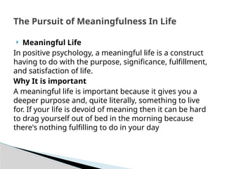 The Pursuit of Meaningfulness in Life ppt | PPT