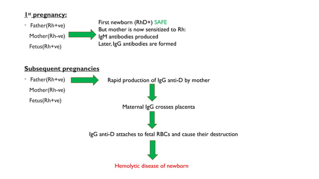 OBG- Rh isoimmunization PowerPoint presentation | PPT