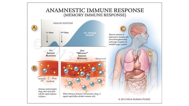 OBG- Rh isoimmunization PowerPoint presentation | PPT
