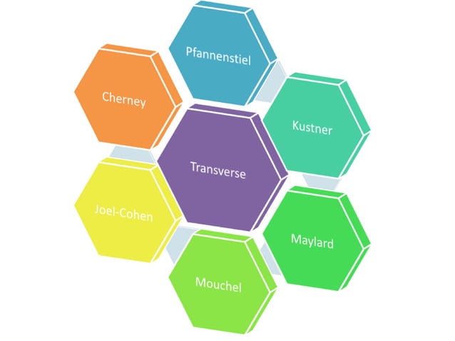 Abdominal Incisions and sutures | PPTX
