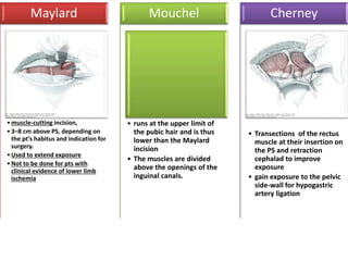 Abdominal Incisions and sutures | PPT