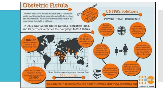 Comprehensive Overview of Genito-Urinary Fistula: Etiology ...