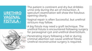 Comprehensive Overview of Genito-Urinary Fistula: Etiology ...