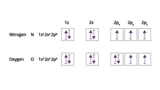 Electron probability and orbitals | PPT