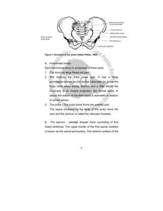 Ob gyn body | PDF