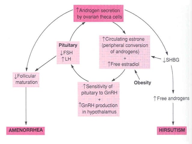 Obgyn Gyn Problems | PPT | Menopause | Endocrine and Metabolic Diseases