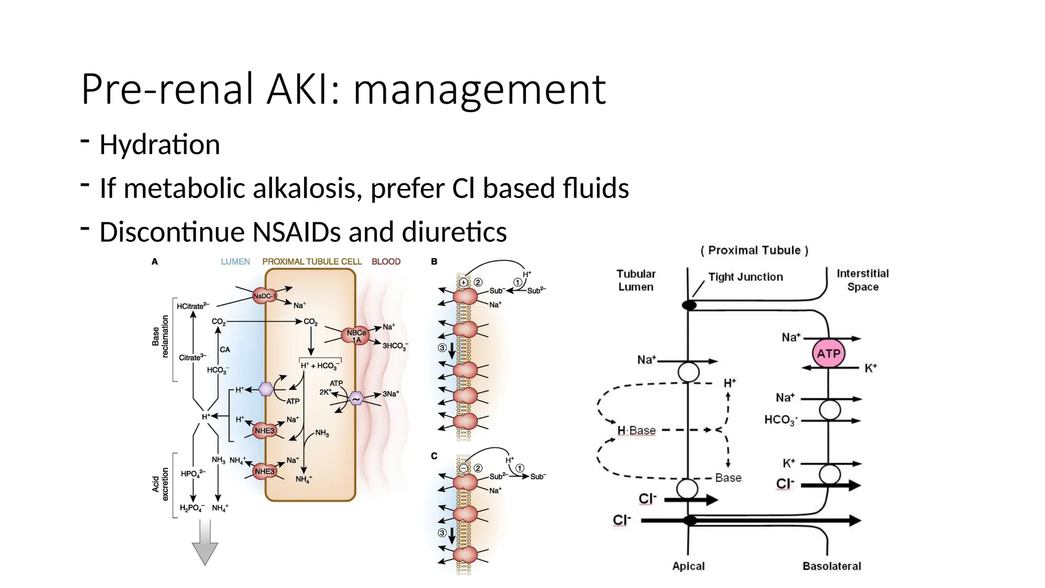 Acute Kidney Injury in the OBGYN setting | PPTX