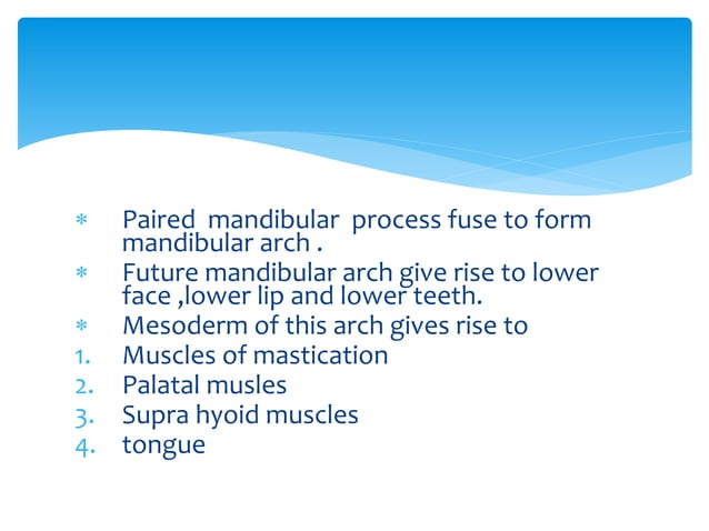 Development of face by revath | PPT