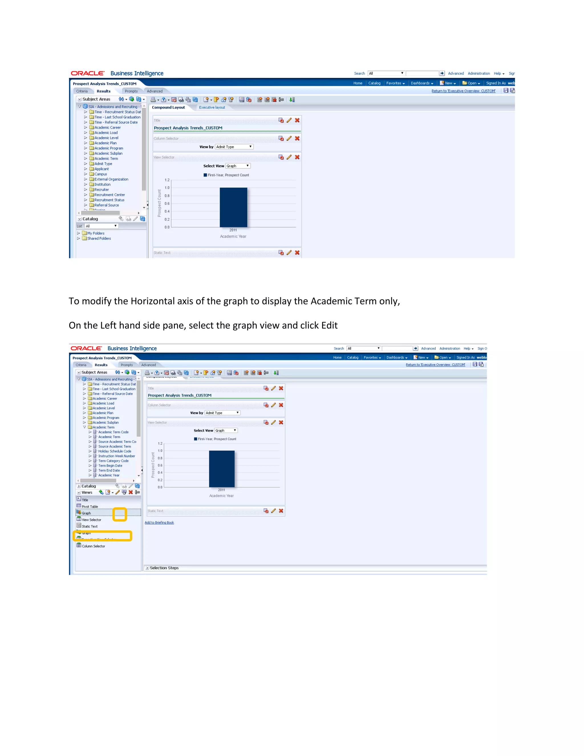 Obia catalog customization_guidelines | PDF
