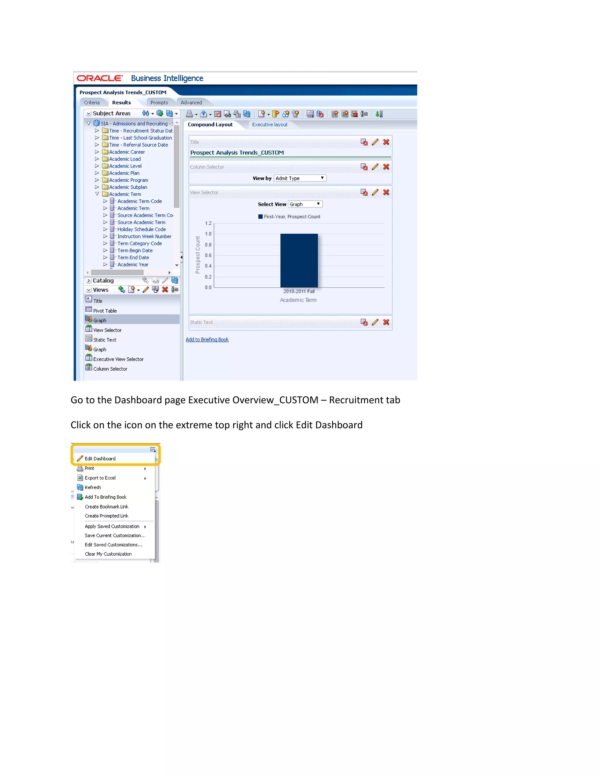 Obia catalog customization_guidelines | PDF
