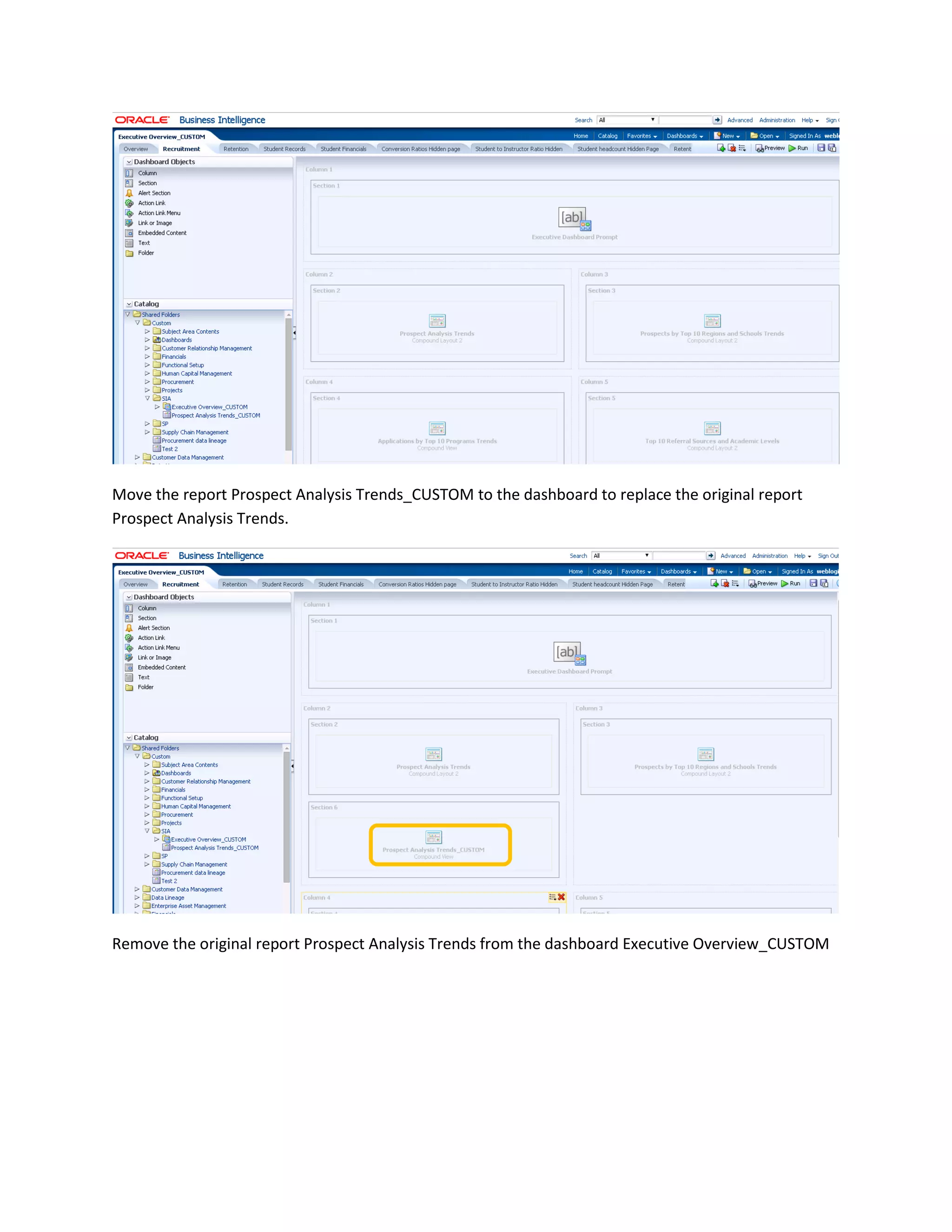 Obia catalog customization_guidelines | PDF