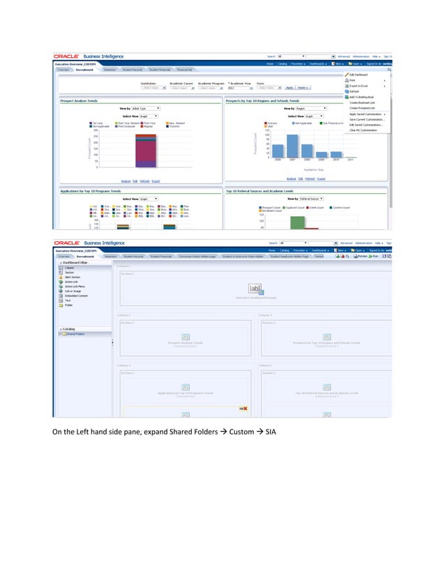 Obia catalog customization_guidelines | PDF