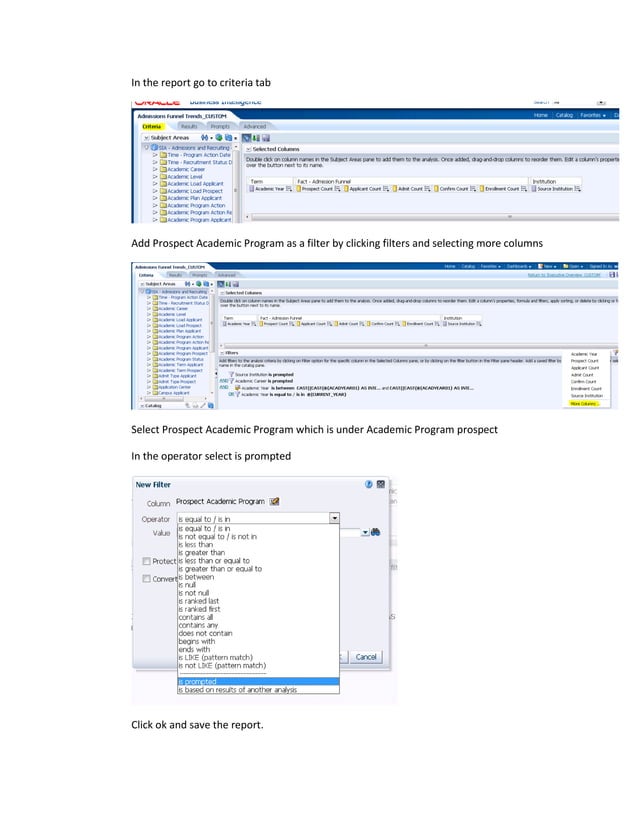 Obia catalog customization_guidelines | PDF