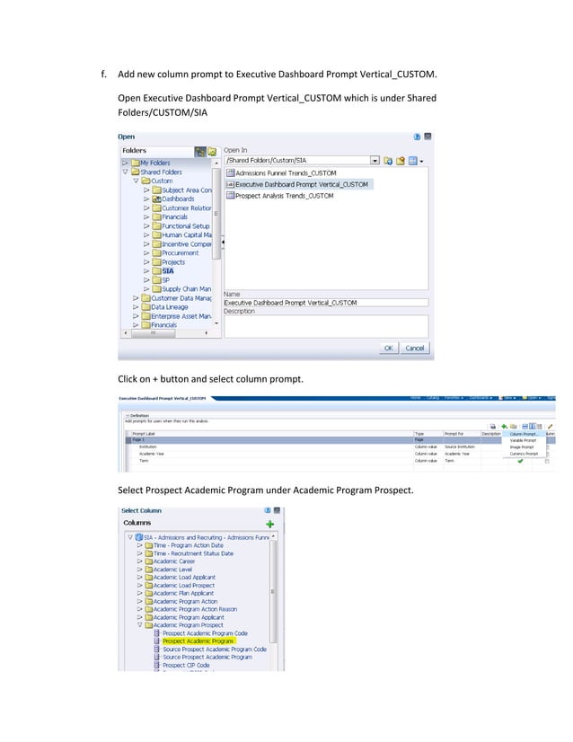 Obia catalog customization_guidelines | PDF
