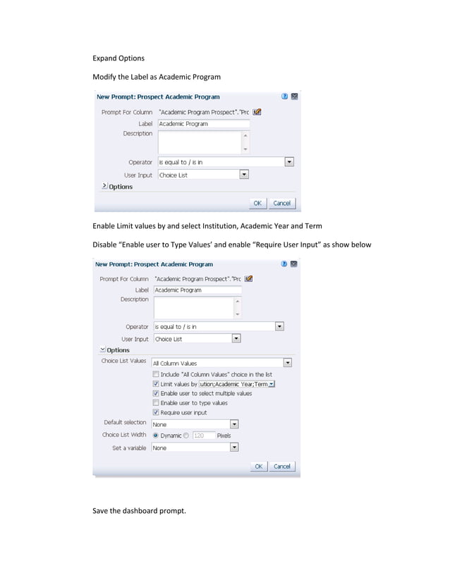 Obia catalog customization_guidelines | PDF