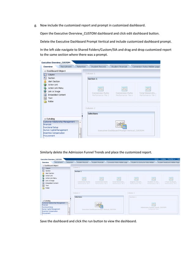 Obia catalog customization_guidelines | PDF