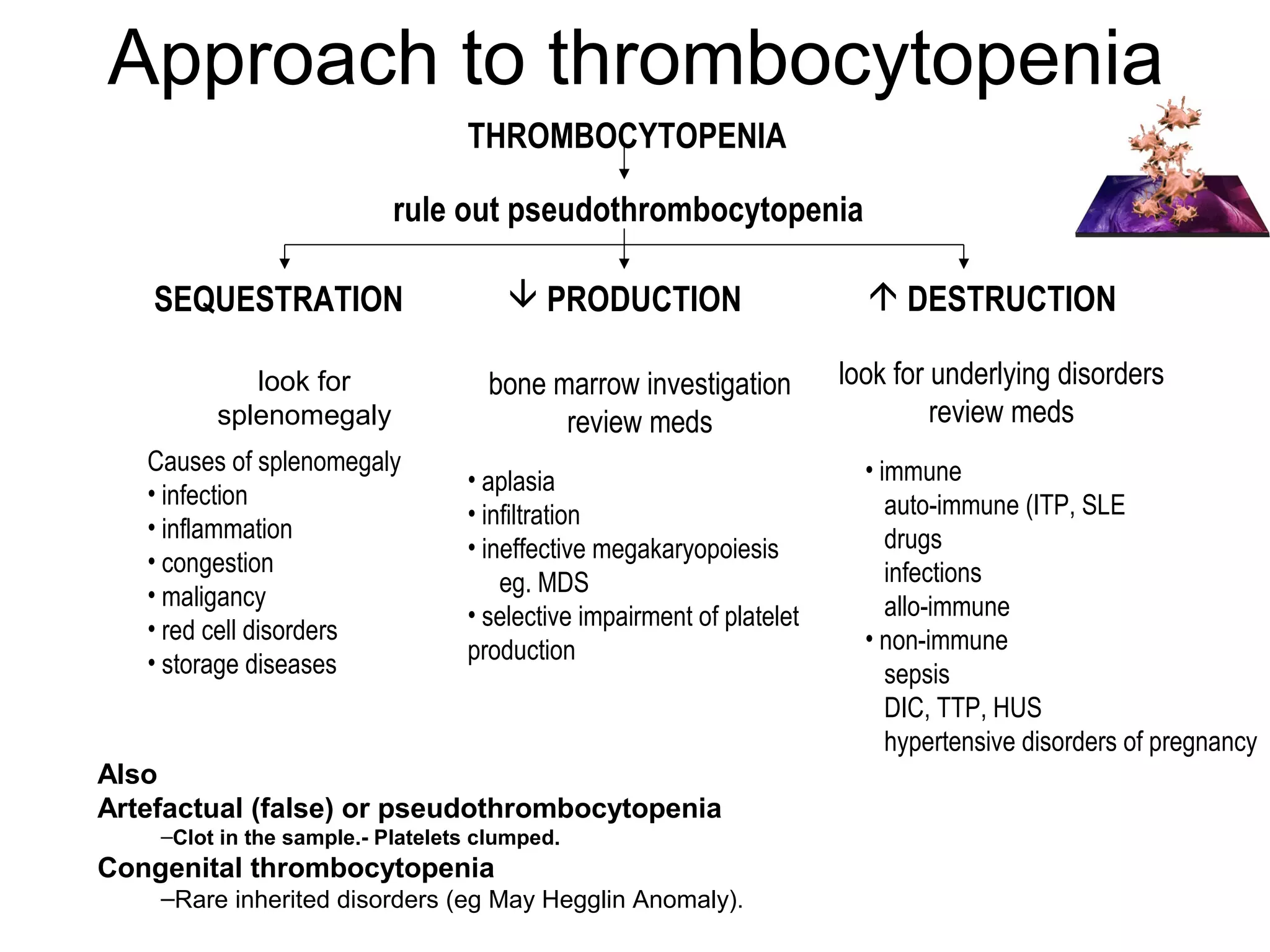 idiopathic thrombocytopenic purpura | PPT