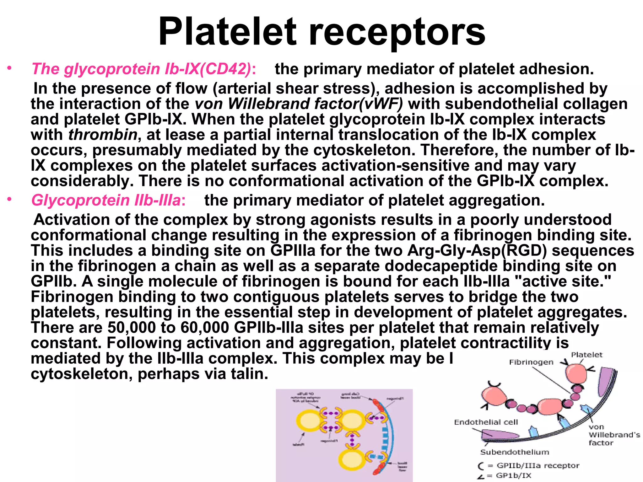 idiopathic thrombocytopenic purpura | PPT