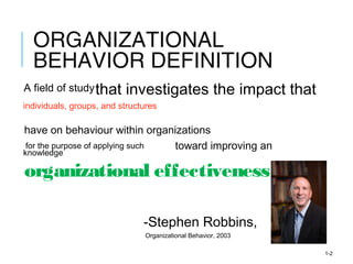 Ob in perspectives | PPT