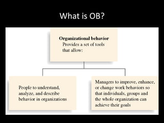 Organizational Behaviour Introduction | PPTX