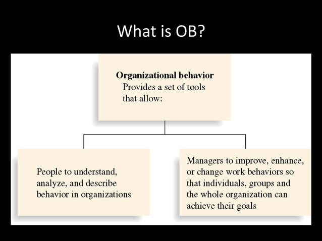 Organizational Behaviour Introduction | PPTX
