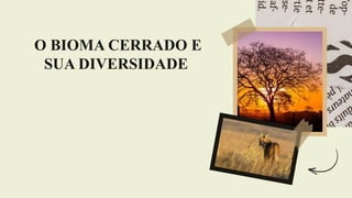 O Bioma Cerrado: Diversidade, Clima, Flora e Ameaças Ambientais | PPTX