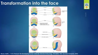 Facial Prominences | PPTX